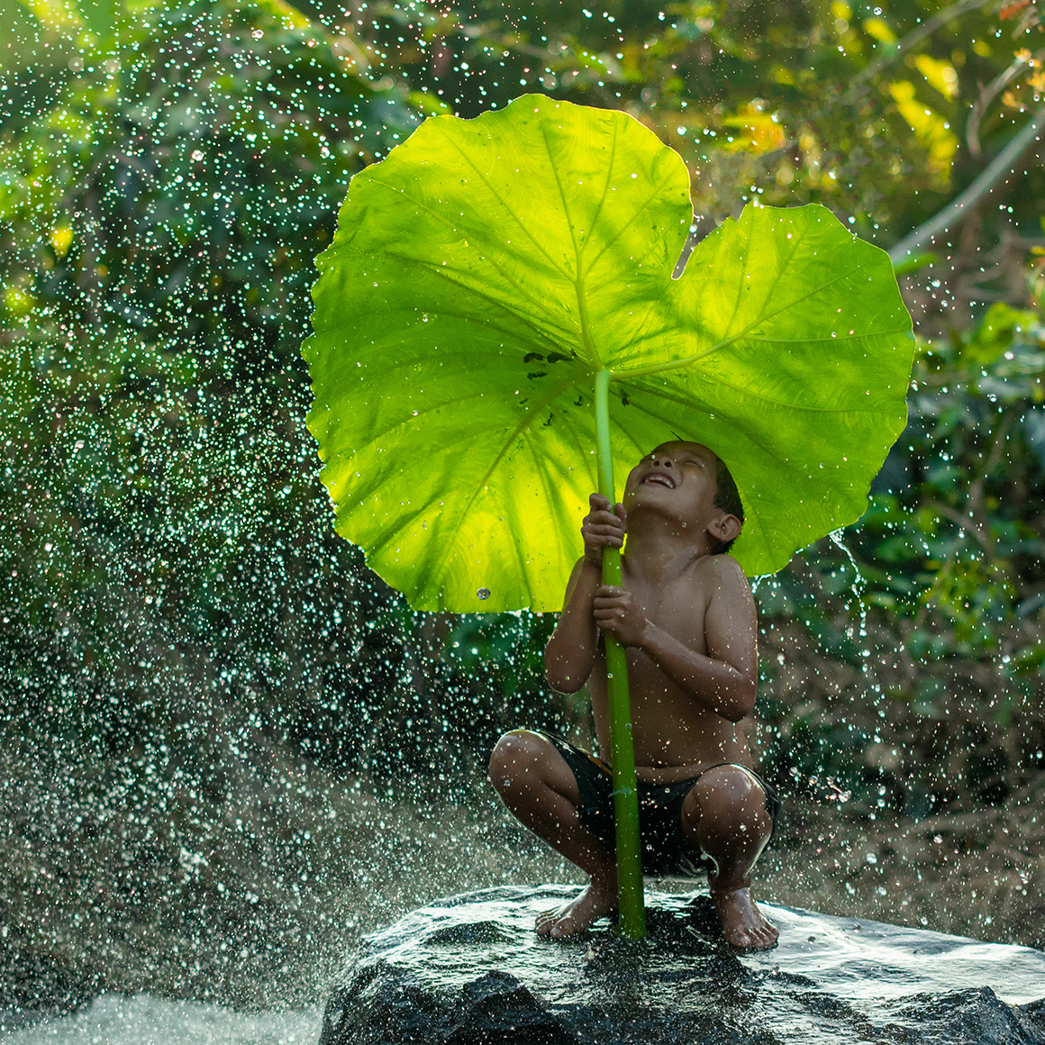 Global Alliance against Hunger and Poverty – The activity focuses on ...